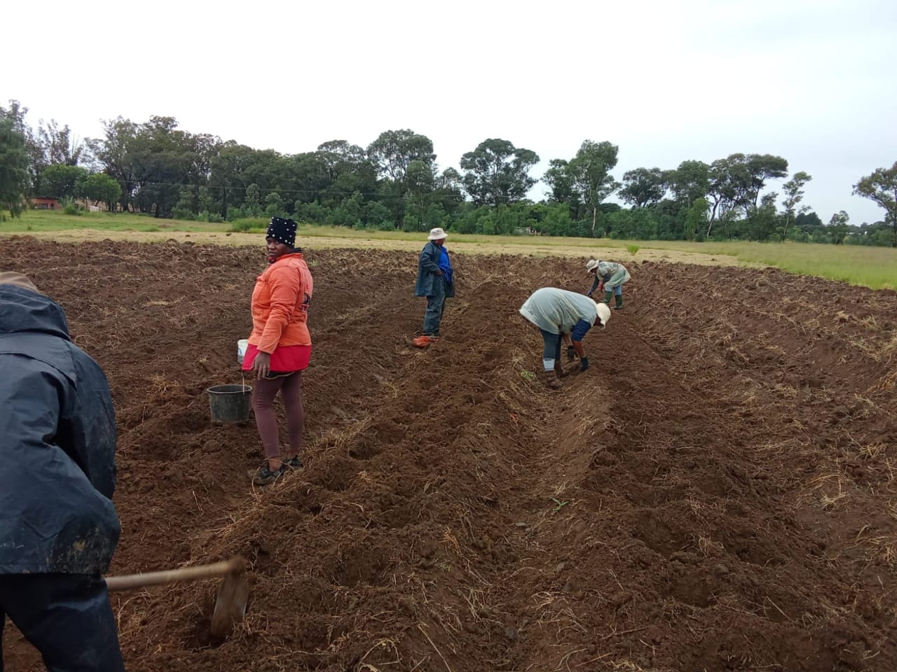 LINGOMSO LAMANINA Primary Cooperative